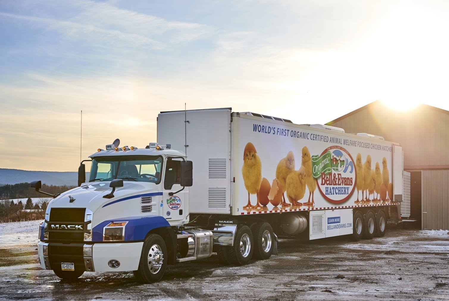 Hatchery Ventilation: Control environmental parameters to produce high ...